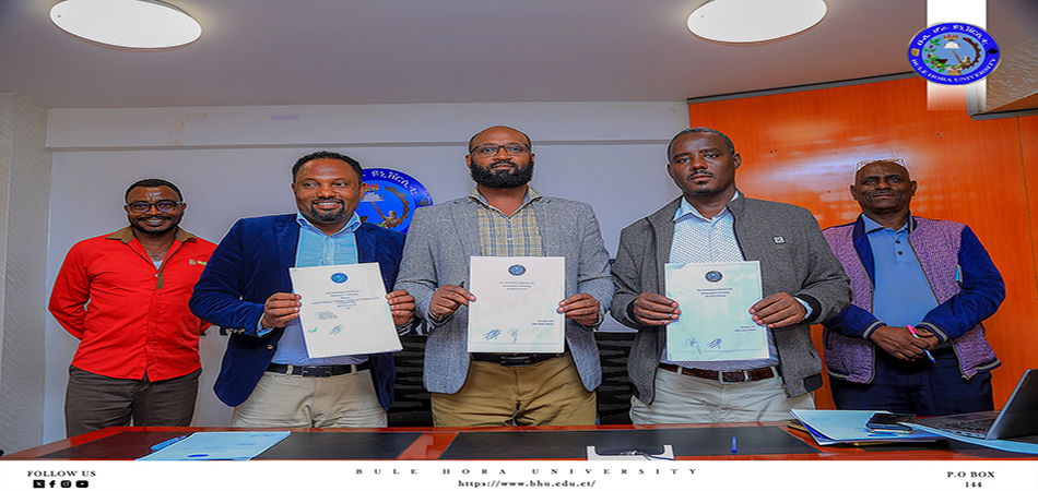 Bule Hora University